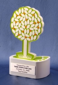 7 Tips for an Award with the “Wow Factor”